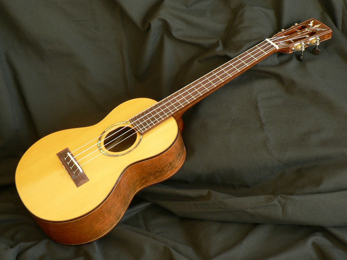 Two Ukuleles - In Progress and Finished Work - ProjectGuitar.com