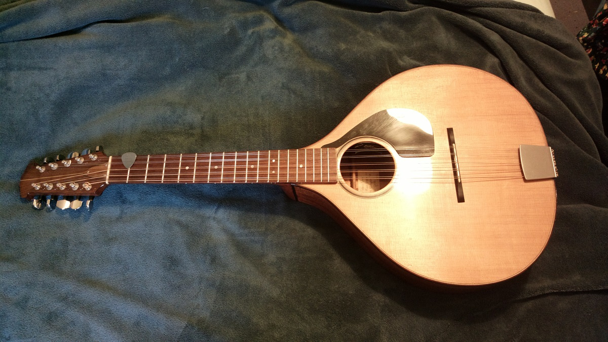 Mandolin build - In Progress and Finished Work - ProjectGuitar.com