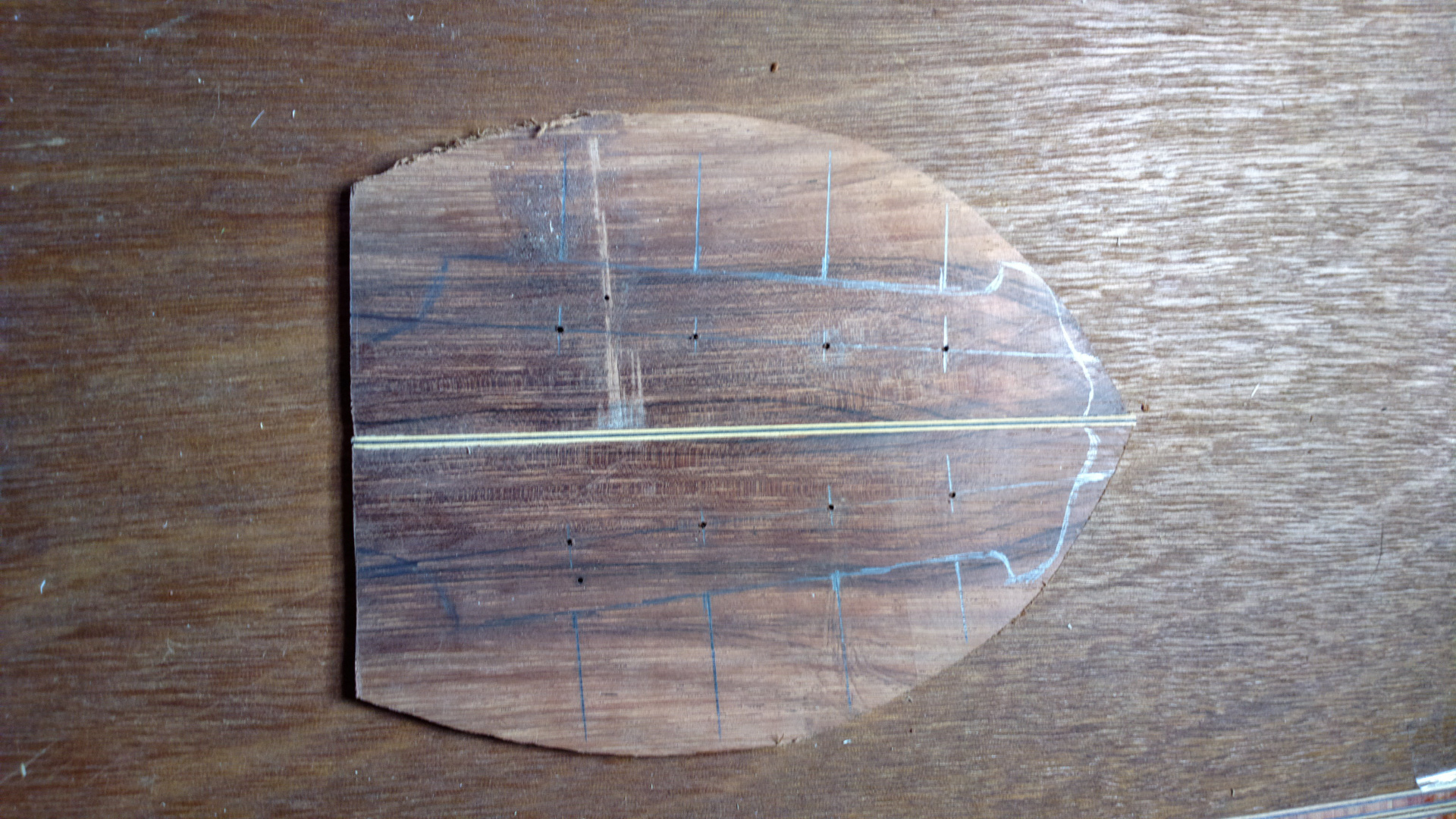 Mandolin build - In Progress and Finished Work - ProjectGuitar.com