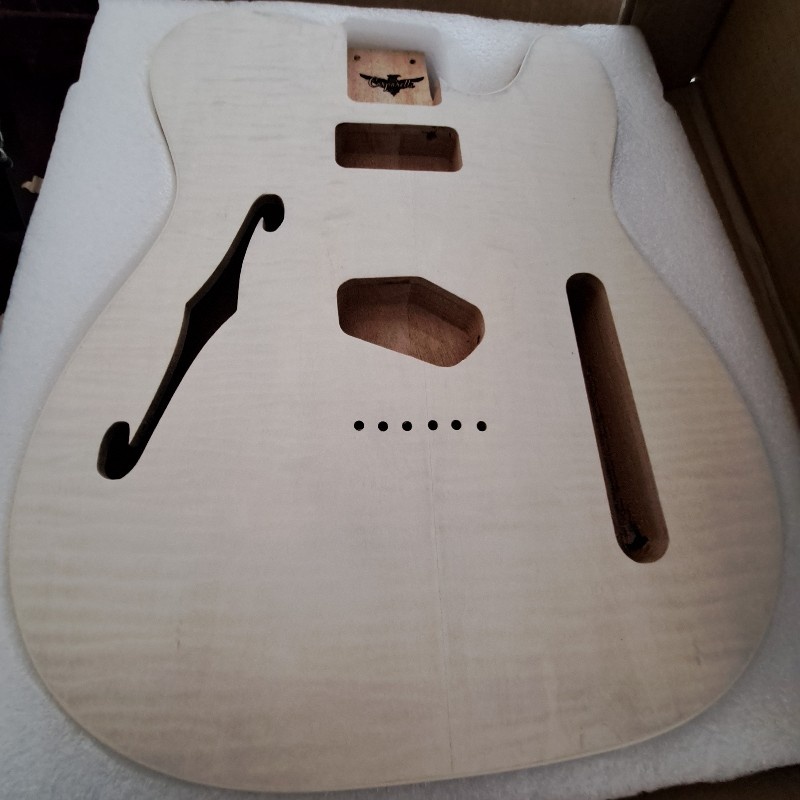 Newbs first build - In Progress and Finished Work - ProjectGuitar.com