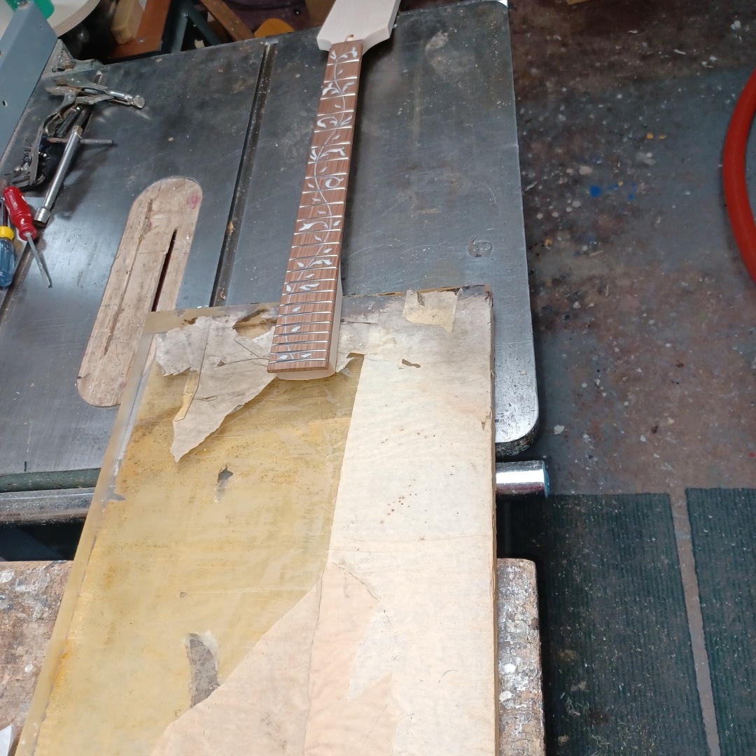 Plastic Guitar Body, - In Progress and Finished Work - ProjectGuitar.com
